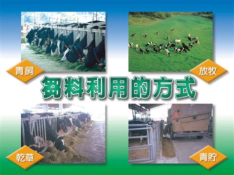牧草的利用方式 牧草主題館 農業知識入口網