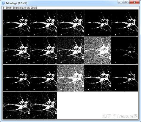 Imagej