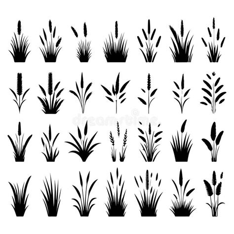 Silhouette Set Of Grass Vector Isolated Illustration Stock Vector