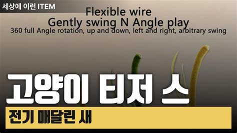 알리익스프레스 고양이 장난감 추천 깃털 스틱·전기 매달린 새 Youtube