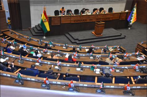 La Votación Del Proyecto De Ley Del Censo En La Cámara De Diputados