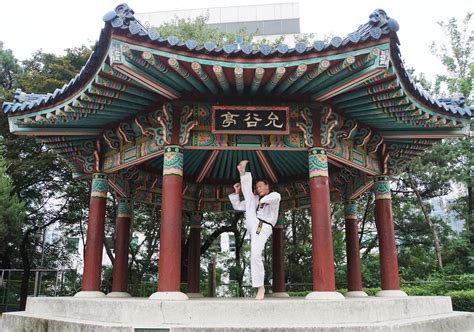 Gerard Van Den Berg Taekwondo Leiden