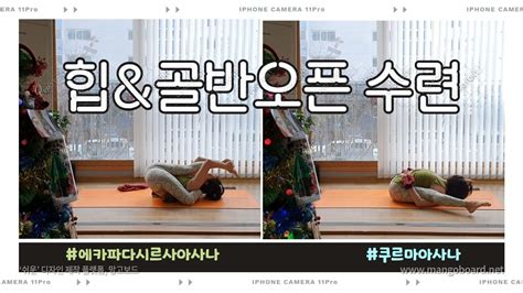 수진요가홈요가홈수련셀프수련개인수련하타요가1일1요가1일1수련힙오픈골반오픈에카파다시르사아사나쿠르마아사나