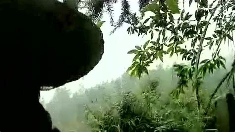 森林资源二类调查腾讯视频