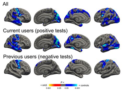 figure s1 replication analyzes excluding participants with suspicious