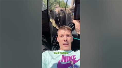 男子意外闖進棕熊的巢穴，沒想到竟然成為了好朋友 人與動物和諧共處 神奇動物在抖音 萬物皆有靈性 野生動物零距離 萌寵出道計劃
