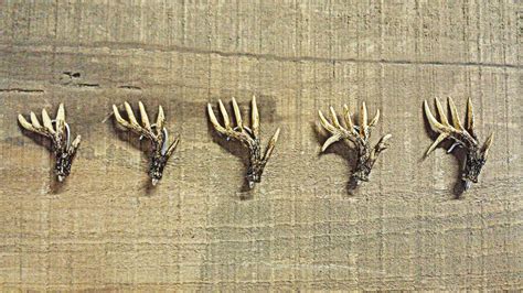 Son Of A Gun Bullet Casing Jewelry Get A Set Of 38 Spl Earrings Only 10 00 Facebook