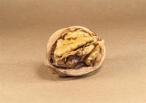 Premium Photo High Angle View Of Crab On Table