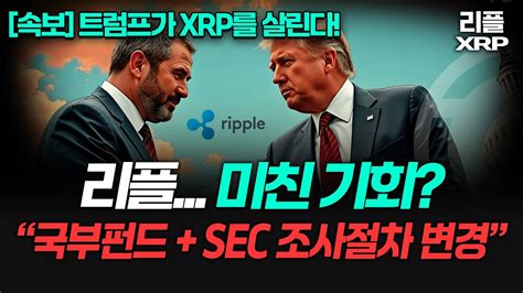 긴급 트럼프가 리플을 살린다 Sec 규제 완화 And 국부펀드 충격적 소식 리플 리플전망 Xrp 알트코인 Sec Youtube