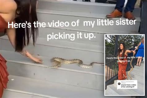 10 Foot Python Surprises Shoppers At Australian Supermarket