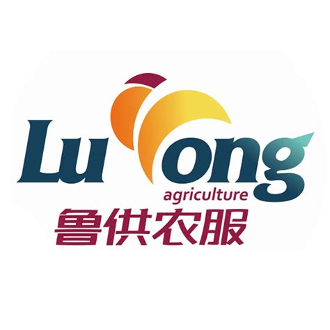 山东供销农业服务集团股份有限公司招聘信息公司简介地址电话 智联招聘