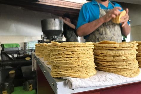 Alertan Que El Precio Del Kilo De Tortilla Llegaría A 24 Pesos Agenda