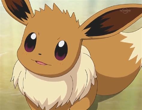 Serenas Eevee Blushes By Willdinomaster55 On Deviantart
