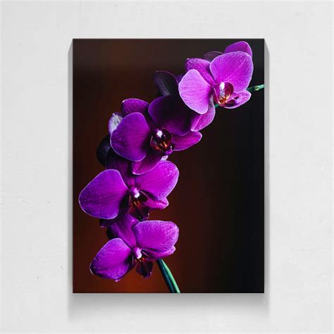 🥇tablou Canvas Orhidee Mov 60 X 90 Cm Pepanza Ro