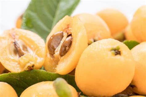 喉嚨癢咳不停「吃枇杷膏」這幾種人卻越吃咳越兇，中醫推薦2種食療緩解呼吸道！ 銀髮一起玩