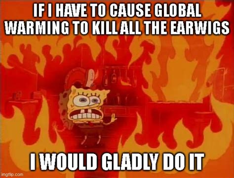Burning Spongebob Imgflip