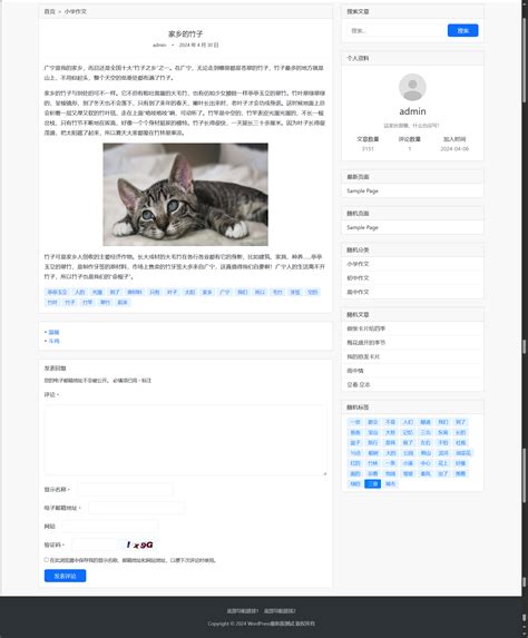 Wordpress果果cms主题 果果开发