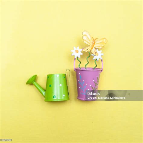 물을 수 및 꽃 봄의 상징의 통 원 예 Minimalism 위에서 보기 평평 하다 캔에 대한 스톡 사진 및 기타 이미지 캔