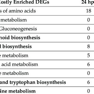 The Top Ten Most Enriched Pathways Due To The Pythium Ultimum Infection