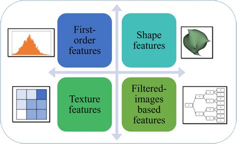 Radiomic Feature Extraction Performed On Flair And Segmented Mri Scans