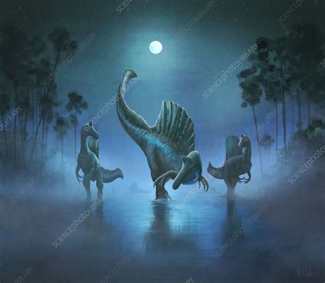 Spinosaurus Dinosaurs Illustration Stock Image C060 7153 Science