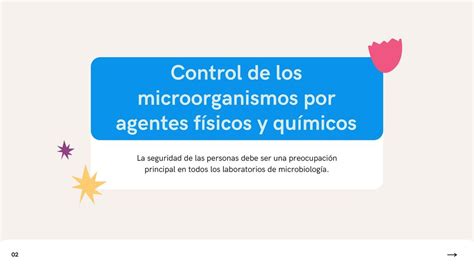 Control Microorganismos Agentes Físicos Y Quimicos Abigail Paredes