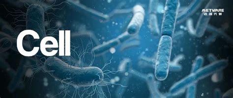 肠道菌群专题 近2年癌症研究最值得看的11篇高分文献 Book学术