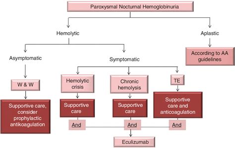 Hemoglobinuria In Adults
