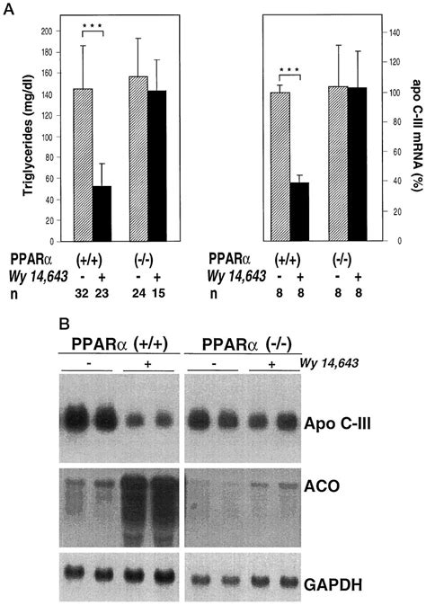 Triglycerides And Apolipoprotein C Iii Mrna Levels After Wy 14643