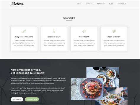 Скачать бесплатно готовый Html Css шаблон лендинга Meteor