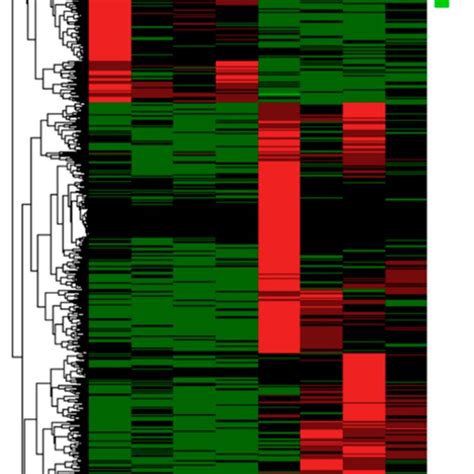 heatmap of each patient s gene expression rows represent each sample