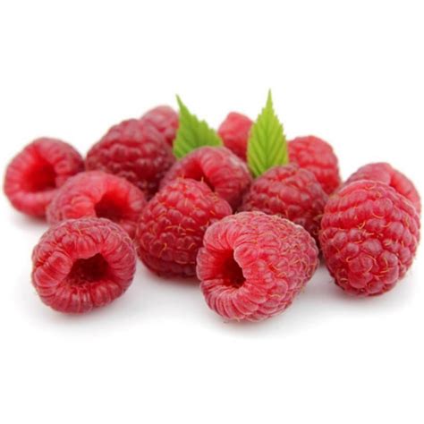 Giant Red Raspberry Seeds Rubus Idaeus