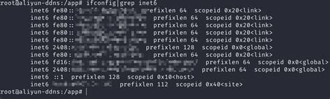 Docker 中从本地网卡获取 IPv6 地址失败 Issue 78 sanjusss aliyun ddns GitHub