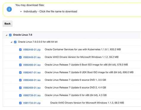 Import Vmware Virtual Machines With High Performance Para Virtualized Drivers Oracle Cloud Blog