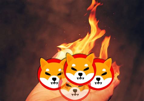 Shiba Inu Whale Movements Increase 2300 Amid Price Surge