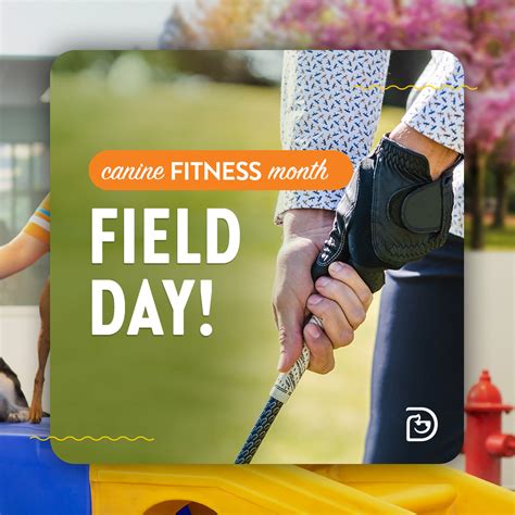 Field Day Viera