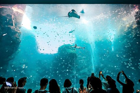 桃園景點｜xpark水族館：最新購票重點交通建議必拍景心得全攻略 Mimi韓の旅遊生活