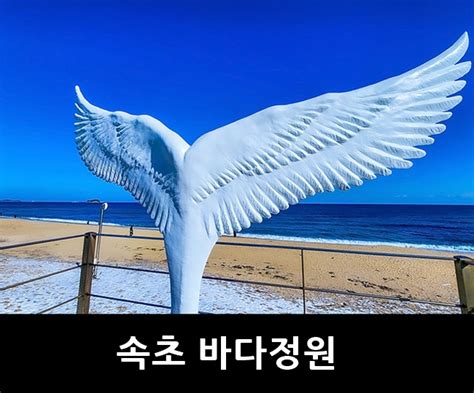 속초 빵지순례 속초 빵집 속초 오션뷰 카페 바다정원 카페 속초 하늘정원 네이버 블로그