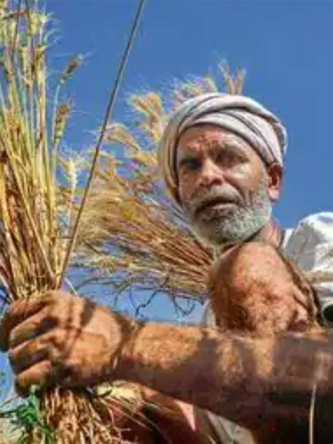ਪੀਐਮ ਕਿਸਾਨ ਹੀ ਨਹੀਂ ਇਨ੍ਹਾਂ ਯੋਜਨਾਵਾਂ ਨਾਲ ਵੀ ਕਿਸਾਨਾਂ ਨੂੰ ਮਿਲਦਾ ਹੈ ਫਾਇਦਾ
