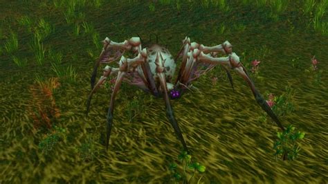Battle Creeper Npc World Of Warcraft
