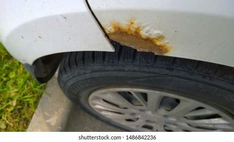 Car Rust Corrosion Defects Scratches Close Stock Photo Shutterstock