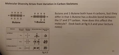 Solved Ch 4 Carbon And The Molecular Diversity Of Life