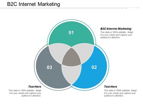 B2c Internet Marketing Ppt Powerpoint Presentation Icon Design Ideas Cpb Powerpoint Templates