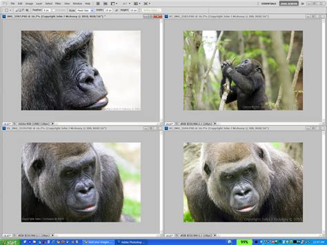 Solved Re Is This Tiling Possible Adobe Community 2846334