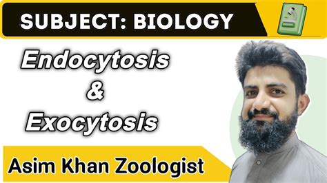 How Cells Communicatethe Process Of Endocytosisandexocytosis Youtube