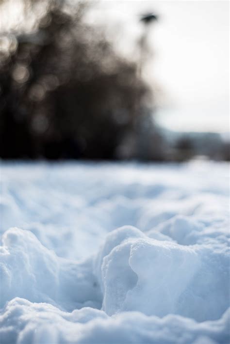 Snow Texture Winter Free Photo On Pixabay Pixabay