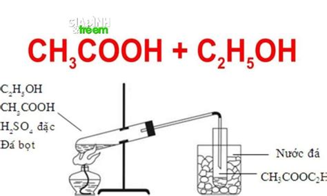 Phản ứng Hóa Học Ch3cooh Ra Ch3cooc2h5 Theo Cách Nào