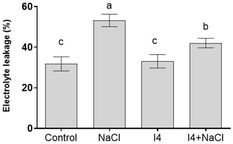 Effect Of Pgpb Isolate I4 On Electrolyte Leakage Under Control And Salt Download Scientific