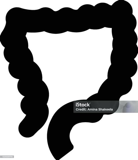 appendix stock illustration download image now anatomy appendix