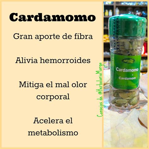 Propiedades Del Cardamomo Consejos De Herbolario Marga Body Health